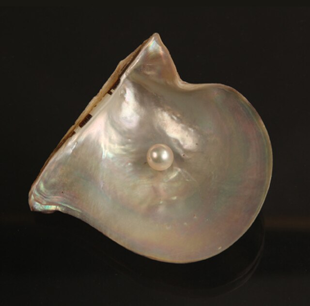 Pearl Earring Sizes: Find the Best Stud Size and Type for Your Face ...